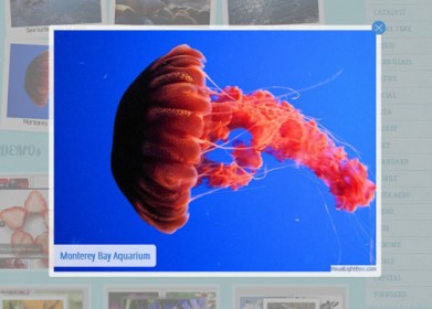 15 Free and Responsive jQuery Lightbox Plugins - Designbeep