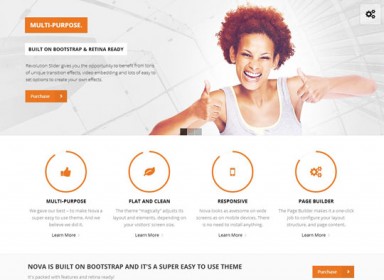 Really High Quality Flat Design and Multipurpose Business Wordpress ...