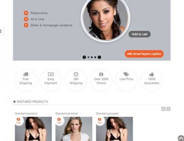 35 Best Professional eCommerce Wordpress Themes - Designbeep