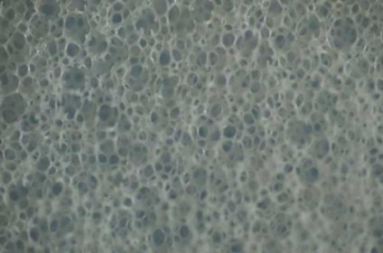 15 Sets Of Free Sponge Textures to Use In Your Designs - Designbeep