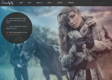 Best Fullscreen Wordpress Themes Worth Checking Out - Designbeep