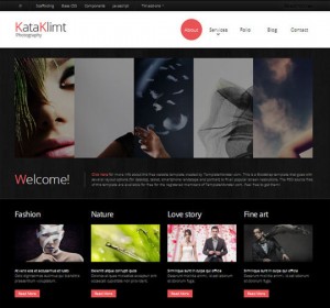100 Absolutely Free Responsive HTML5/CSS3 Website Templates - Designbeep