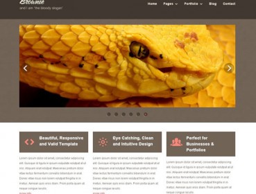 100 Absolutely Free Responsive HTML5/CSS3 Website Templates - Designbeep