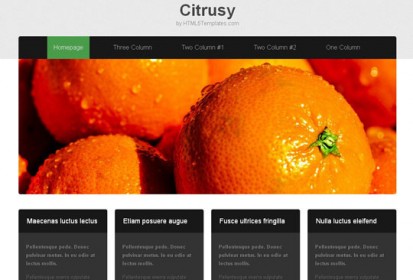 100 Absolutely Free Responsive HTML5/CSS3 Website Templates - Designbeep