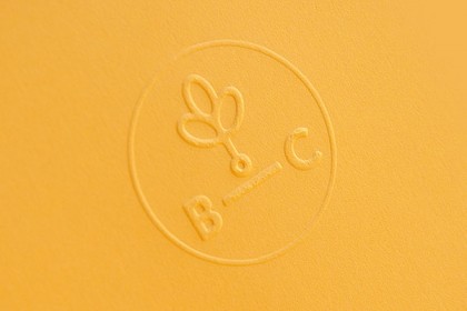 Visual Identity and Branding Series : Branch Creative - Designbeep