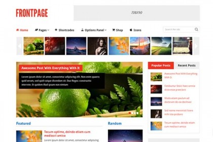 55 News Magazine WordPress Themes You Should Check Out - Designbeep