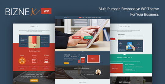 WP Theme Of the Day #165 – BizNex – Multi-Purpose Parallax WordPress Theme - Designbeep