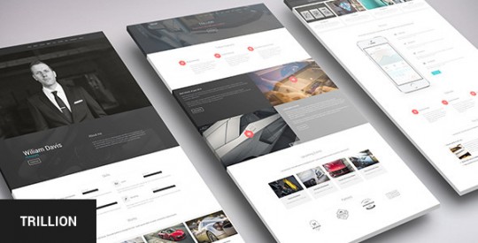 WP Theme Of the Day #327 – TRILLION - MultiPurpose WordPress Theme ...