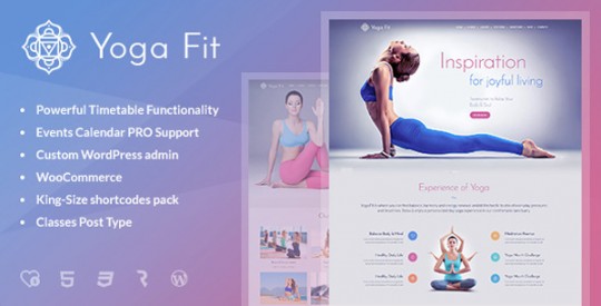 WP Theme Of the Day #251 – Zonya – Multipurpose Responsive WordPress Theme - Designbeep