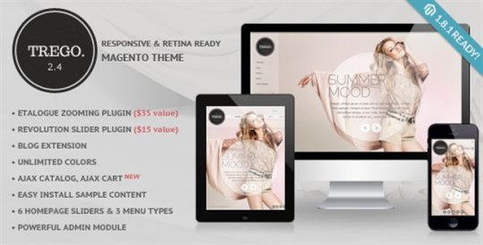 Grab This Month’s (Sep.) FREE Magento Theme With Advanced Admin Module ...