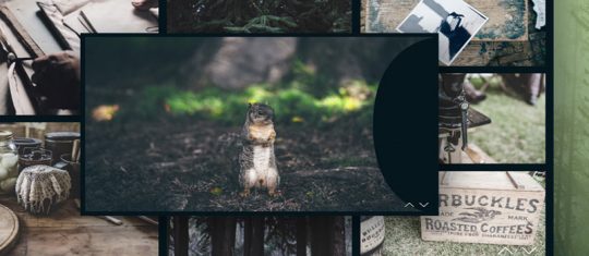 Item Reveal Animations with SVG - Designbeep