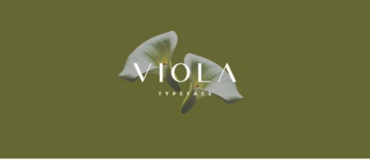 Fresh Free Font Of The Day : Viola - Designbeep