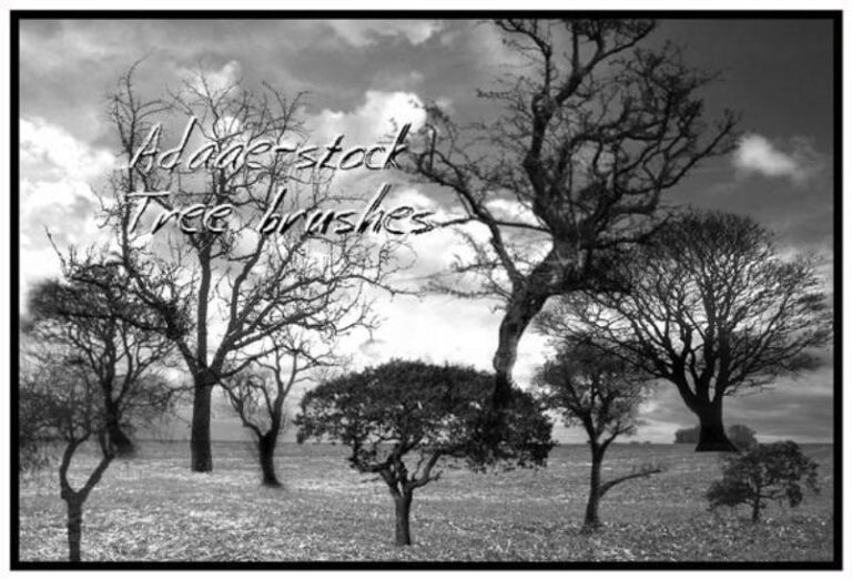 150 Totally Free Photoshop Tree and Leaf Brushes 2026 - Designbeep