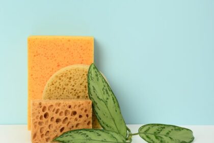 15 Sets Of Free Sponge Textures to Use In Your Designs - Designbeep