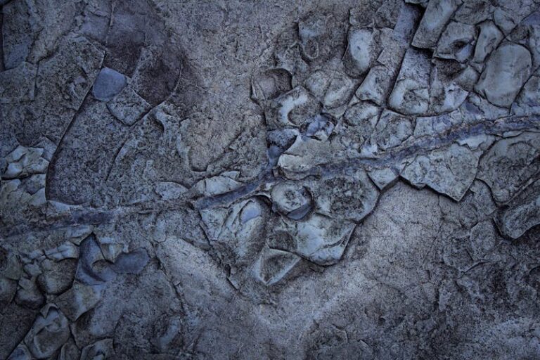 Textures - Designbeep