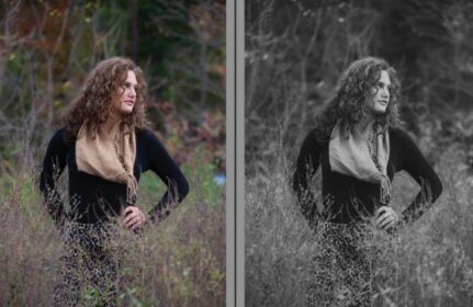 25 Free Portrait Lightroom Presets For Photographers (Before & After ...