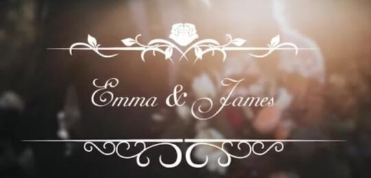 20 Free Wedding Slideshow Templates for Adobe Premiere Pro (Step by ...