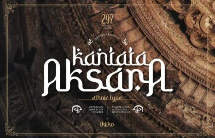 65 Best Hindi Fonts to Give Your Work an Authentic Indian Touch ...