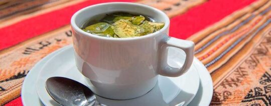 Best Mate de Coca Near Me: Where to Find South American Coca Leaf Tea